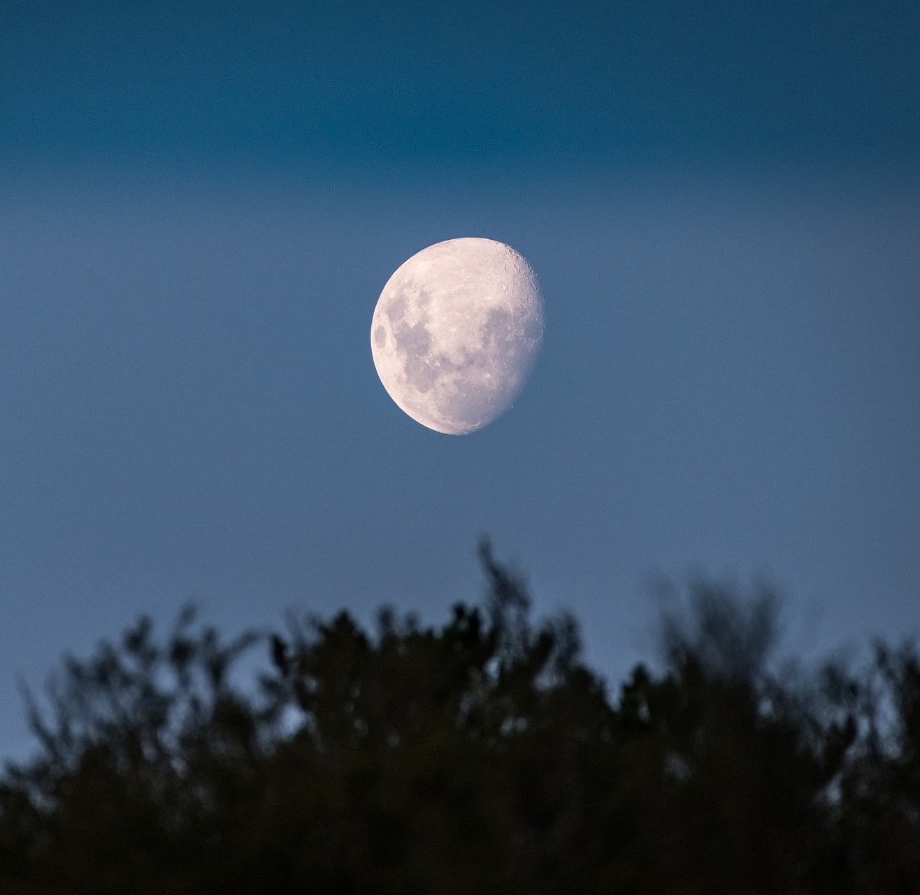 Lune gibbeuse - TetrasLire